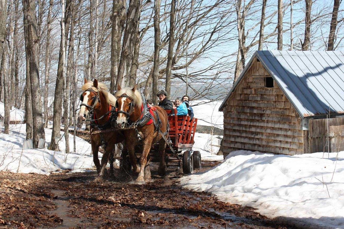 Meilleurs Cabanes à sucre Livraison Québec | Guide décembre 2025 ...