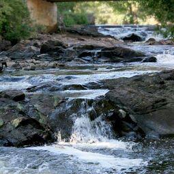 Sagamité Québec - Menu, avis & plus décembre 2025